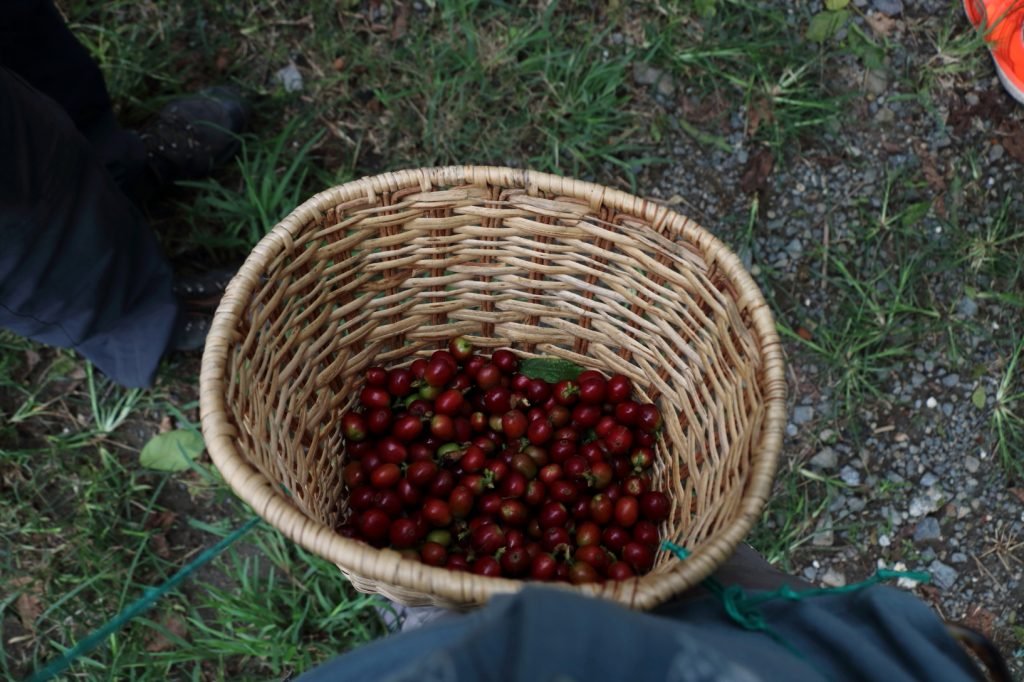 Colombian Coffee Time - Tucks' Travels in a Truck